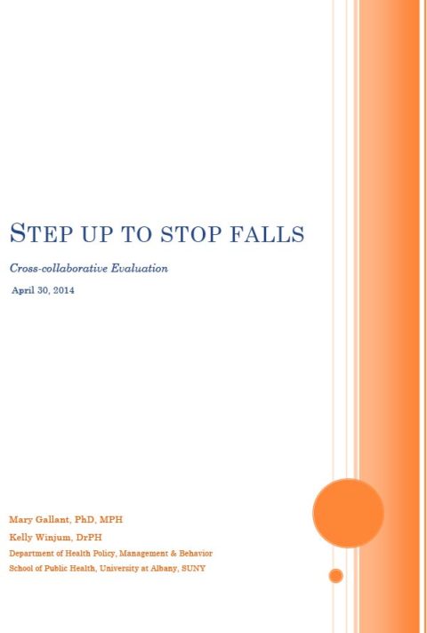 Step Up to Stop Falls Toolkit - Health Foundation for Western & Central ...